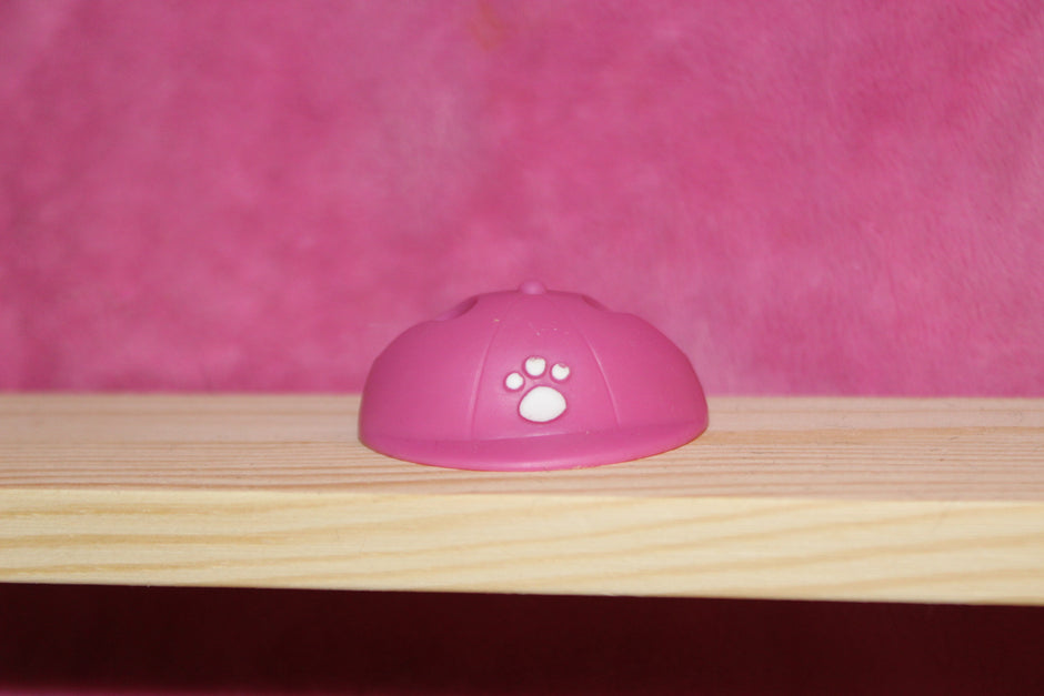 Accessories, LPS Merch, and New in Box Pets! – LPSSmoothie