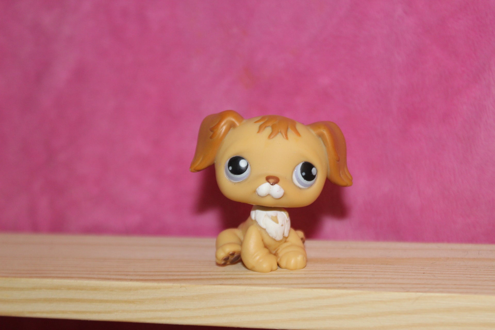 Authentic LPS blemished golden retriever dog no tail – LPSSmoothie