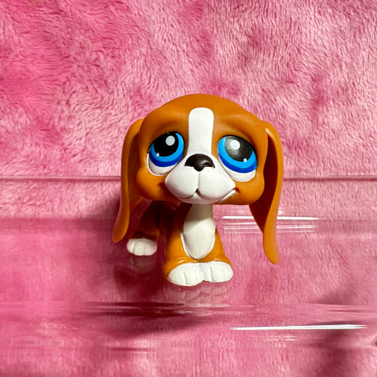 Products – LPSSmoothie