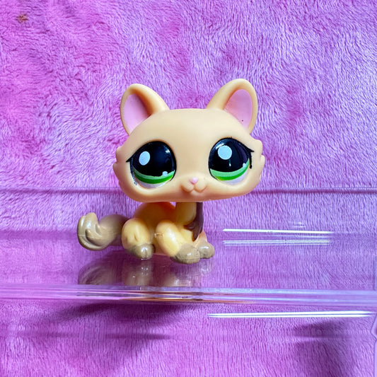 Main 5's and Rares! – LPSSmoothie
